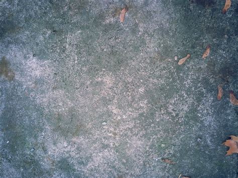 Secrets Of Being A Successful Icqa Associate At Amazon The Future Warehouse