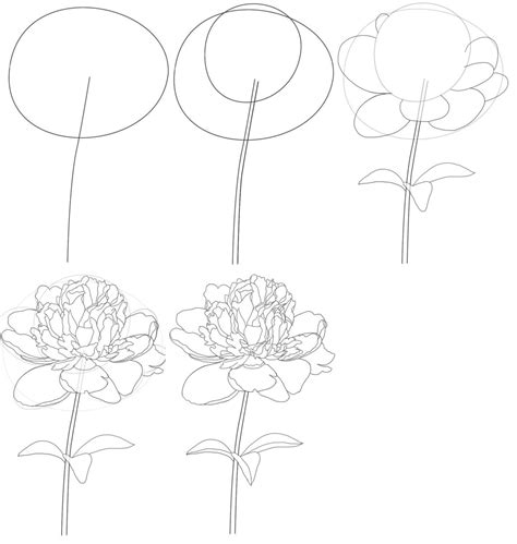Как нарисовать цветок карандашом поэтапно для начинающих легко и красиво