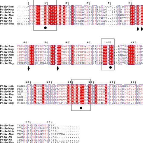 multiple sequence alignments were performed by clustal x multiple