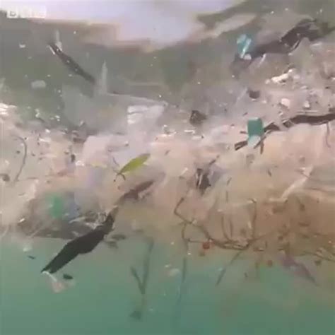 [video] Kevin Basham On Linkedin Have The Norwegians Got This Right