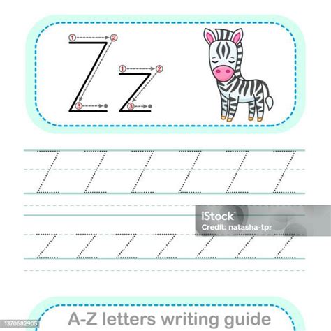 편지 쓰기 가이드 워크 시트 추적 편지 Z 어퍼 케이스 및 소문자 문자 영어 알파벳 유치원에 대한 스톡 벡터 아트 및 기타 이미지 유치원 줄 친 종이 교육 Istock