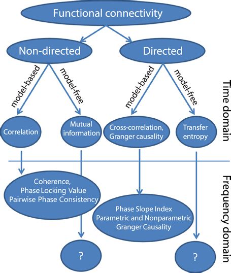 Frontiers A Tutorial Review Of Functional Connectivity Analysis Methods And Their