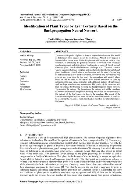 Identification Of Plant Types By Leaf Textures Based On The