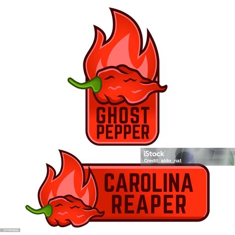 매운 음식 수준의 아이콘입니다 뜨거운 유령 고추 캐롤라이나 사신 매운 칠리 기호 벡터 만화 그림 기호입니다 캐롤라이나 리퍼에