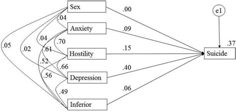 The Path Analysis With Structural Equation Model For Suicide Ideation