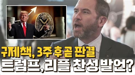 리플 비트코인 이더리움 구제책 3주 후 판결 트럼프 리플 옹호 발언” Youtube
