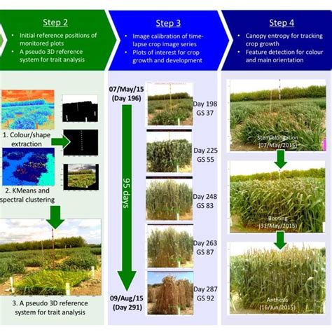 the high throughput analysis pipeline for processing and quantifying