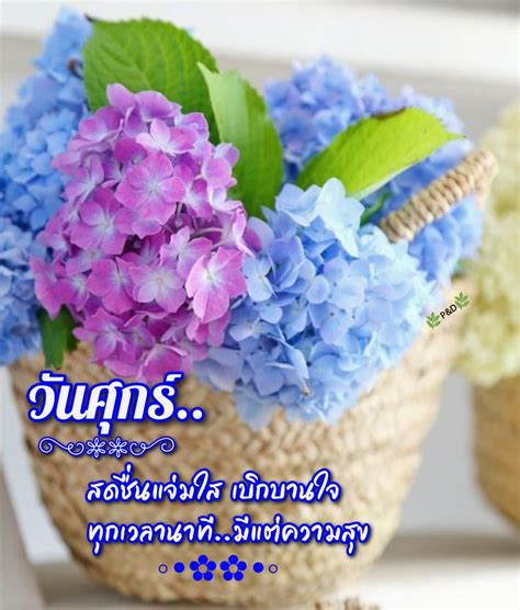 วันศุกร์🌿💙 ในปี 2023 วันศุกร์ ดอกไม้สีม่วง สุขสันต์วันเกิด