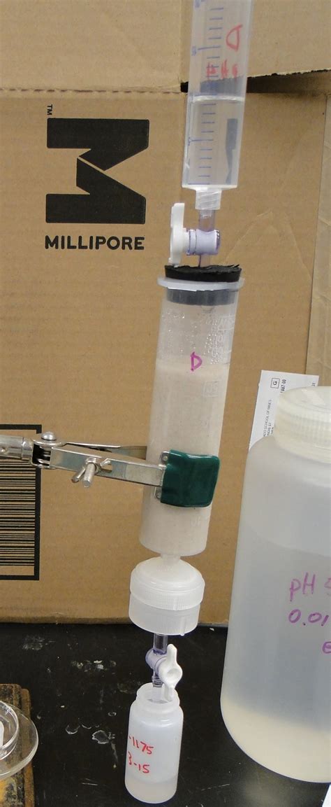 7 Depiction Of Static Columns Download Scientific Diagram