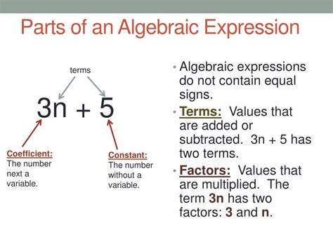 Ppt Algebraic Expressions Powerpoint Presentation Free Download Id