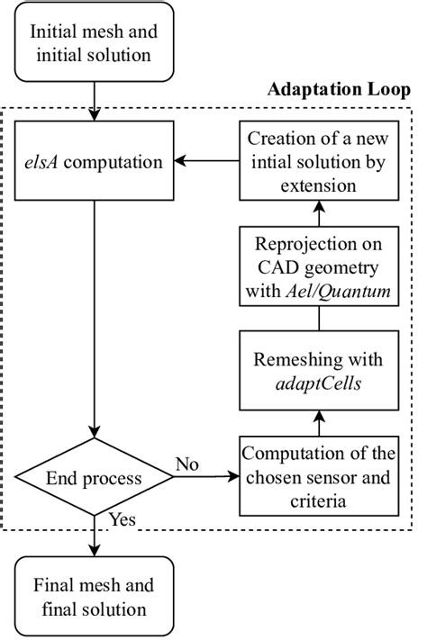 Main Steps Of The Adaptation Process Download Scientific Diagram