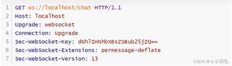 websocket协议详解：从基础到实践 csdn博客