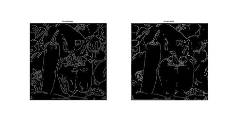 Algorithme De Canny Pour Détection De Contour Images