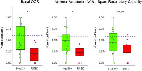 Normalized Respirometry Data Showing The Oxygen Consumption Rate And