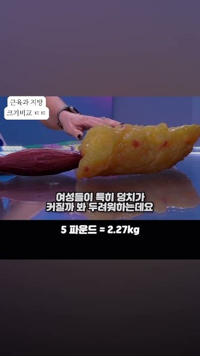 근육과 지방 크기비교 Fitness Health Youtube