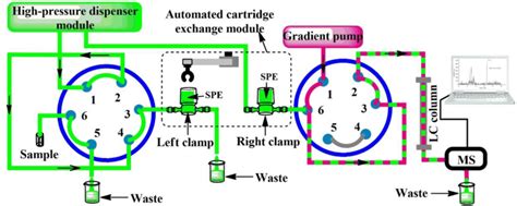 Scheme Of The Automated On Line SPE Combined With LCMS MS Download Scientific Diagram