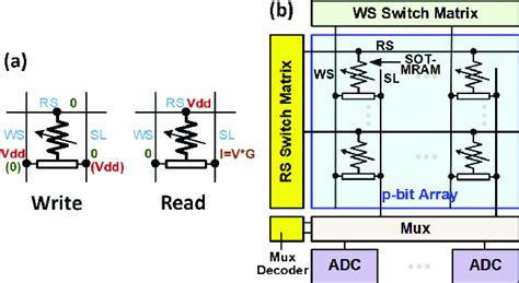 schematic of p bit and p array a voltage bias schemes in the write