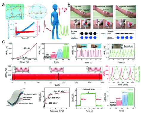 A The Strain Sensor For Reliable Detection Of Human Activities By A