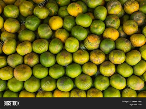 Tangerine Thai Orange Image And Photo Free Trial Bigstock