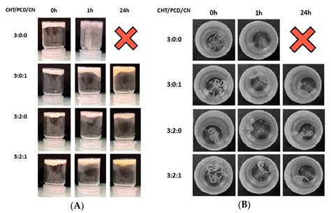Gels Free Full Text Injectable Chitosan Based Hydrogels For Trans Cinnamaldehyde Delivery In