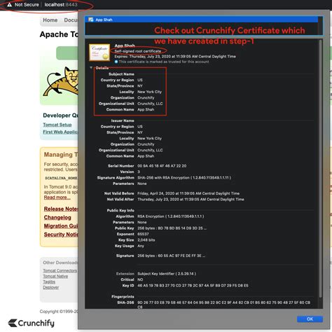 Step By Step Guide To Enable Or Ssl Correct Way On Apache Tomcat Server Port 8443