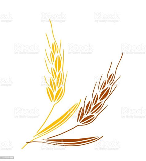 간단한 손으로 그린 벡터 드로잉 갈색 흰색 배경에 고립 된 밀의 금 스파이크 시리얼 밀가루 제품 인쇄 라벨 로고 상점 빵집을 위한 제품입니다 벡터에 대한 스톡 벡터 아트 및