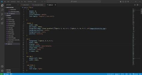 Sunil Gurjar On Linkedin Codsoft Html Css University Website Landingpage