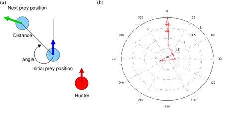 A Illustration Of One Prey Transition B Example Transition Model