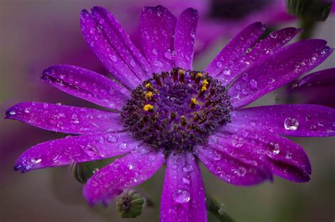 Introduction To Manual Focus On A Camera Lens