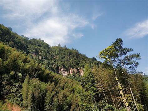 2025桫椤国家级自然保护区游玩攻略 如果是班车游客建议只去干 去哪儿攻略