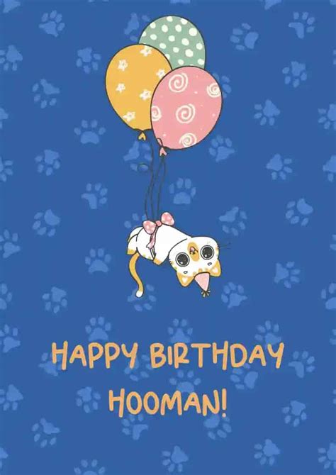 장난기 많은 고양이 성인용 생일 카드 Invitanku