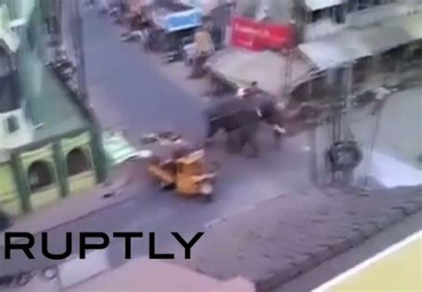 これもう怪物だわ。街中でマジギレした象がヤバすぎる ポッカキットポッカキット