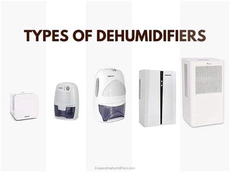 Different Types Of Dehumidifiers What To Choose And When