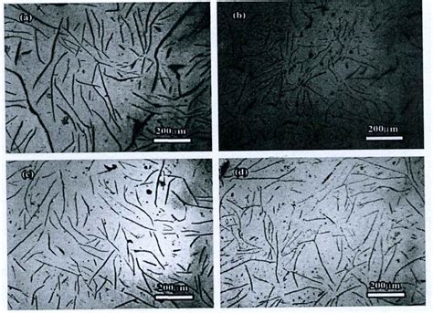 Effect Of Vibration Frequency On Graphite Morphology Of Gray Cast Iron Zhy Casting