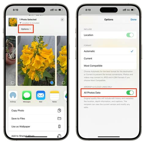 How To Shoot Raw Or Apple Proraw Photos On Your Iphone