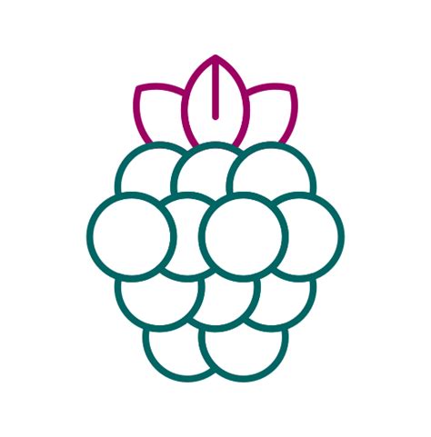 Raspberry Generic Color Outline Icon