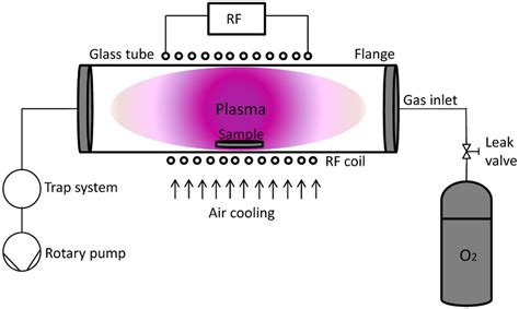 The Schematic Representation Of Plasma Treatment System Used For