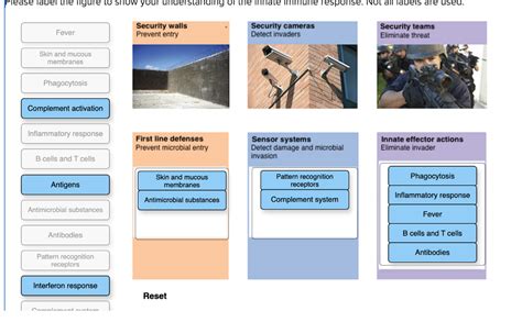 Solved Please Label The Figure To Show Your Understanding Of