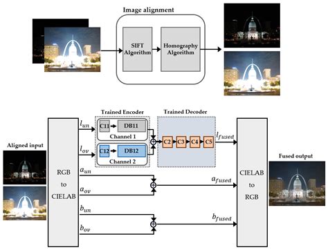 Multi Task Learning Approach Using Dynamic Hyperparameter For Multi