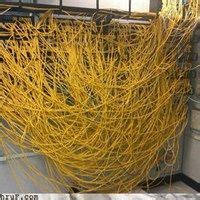 Untitled Cable Management Structured Cabling Network Cable
