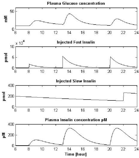 Figure 1 From Simulation Of Insulin Regimen And Glucose Profiles In Type 1 Diabetic Patient