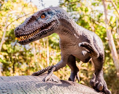 Terra dos Dinos maior parque de dinossauros do mundo será inaugurada
