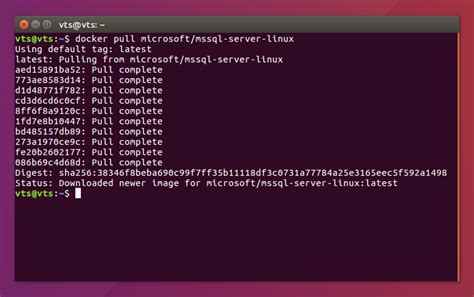 Running Sql Server Vnext On A Linux Machine Vts Software Blog