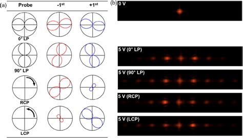 A Polar Plots Represent Polarization States Of The Probe And 1st Order Download Scientific