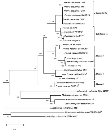 Figure 1 From Genomic Insights Into Plant Growth Promoting Potentialities Of The Genus Frankia