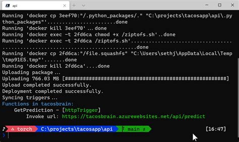 Troubleshooting An Onnx Model Deployment To Azure