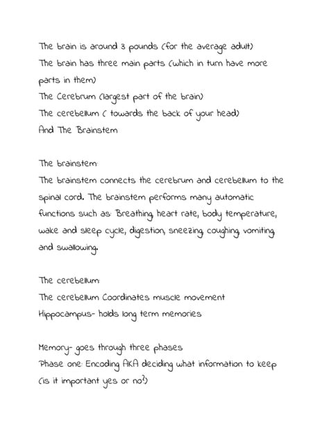 Brains And How They Function Pdf