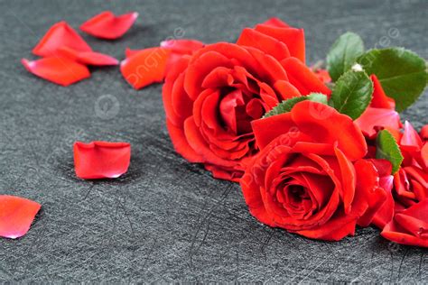 Valentine S Day Rose Photography Illustration Background Valentine S