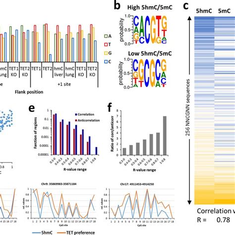 Structural Details Of TET Enzyme DNA Complexes A Structure Of TET2 With Download Scientific