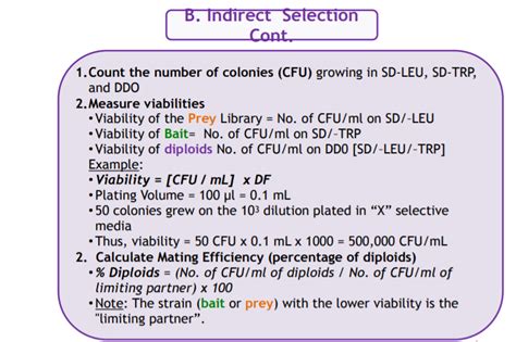 29 Transformation Efficiency Calculation PawelPerdeep